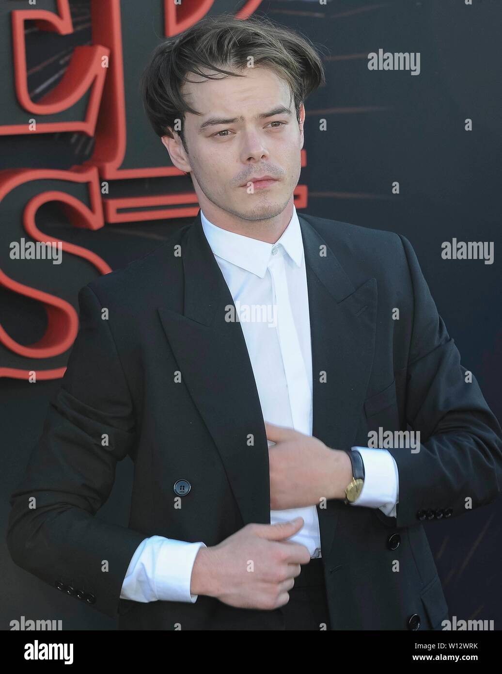 Charlie Heaton attends the 'Stranger Things' Season 3 World Premiere at ...