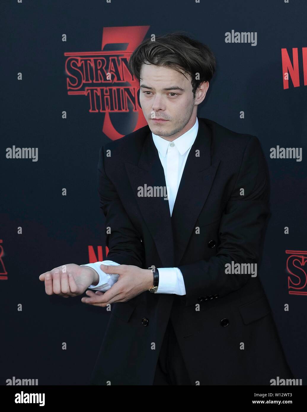 Charlie Heaton attends the 'Stranger Things' Season 3 World Premiere at ...
