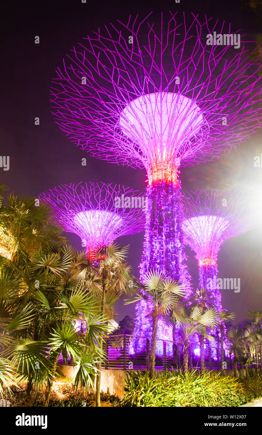 SINGAPORE, SINGAPORE - MARCH 2019: Supertrees illuminated for light ...