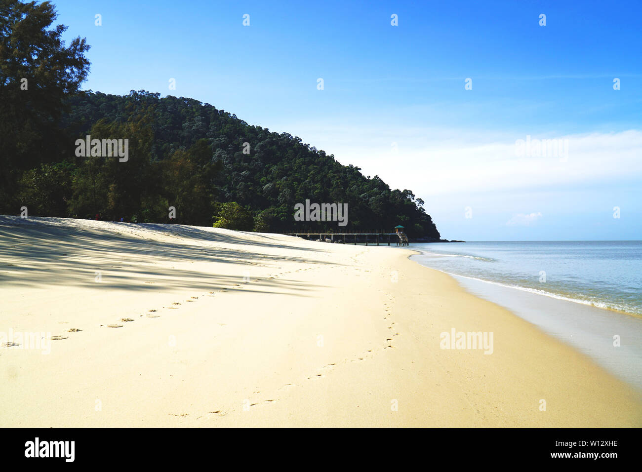 scenic picture of the turtle beach at the penang national park in ...