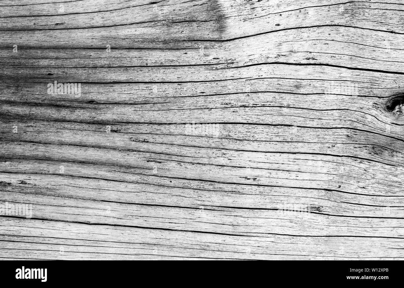 Detail of old stump surface , wood texture Stock Photo - Alamy