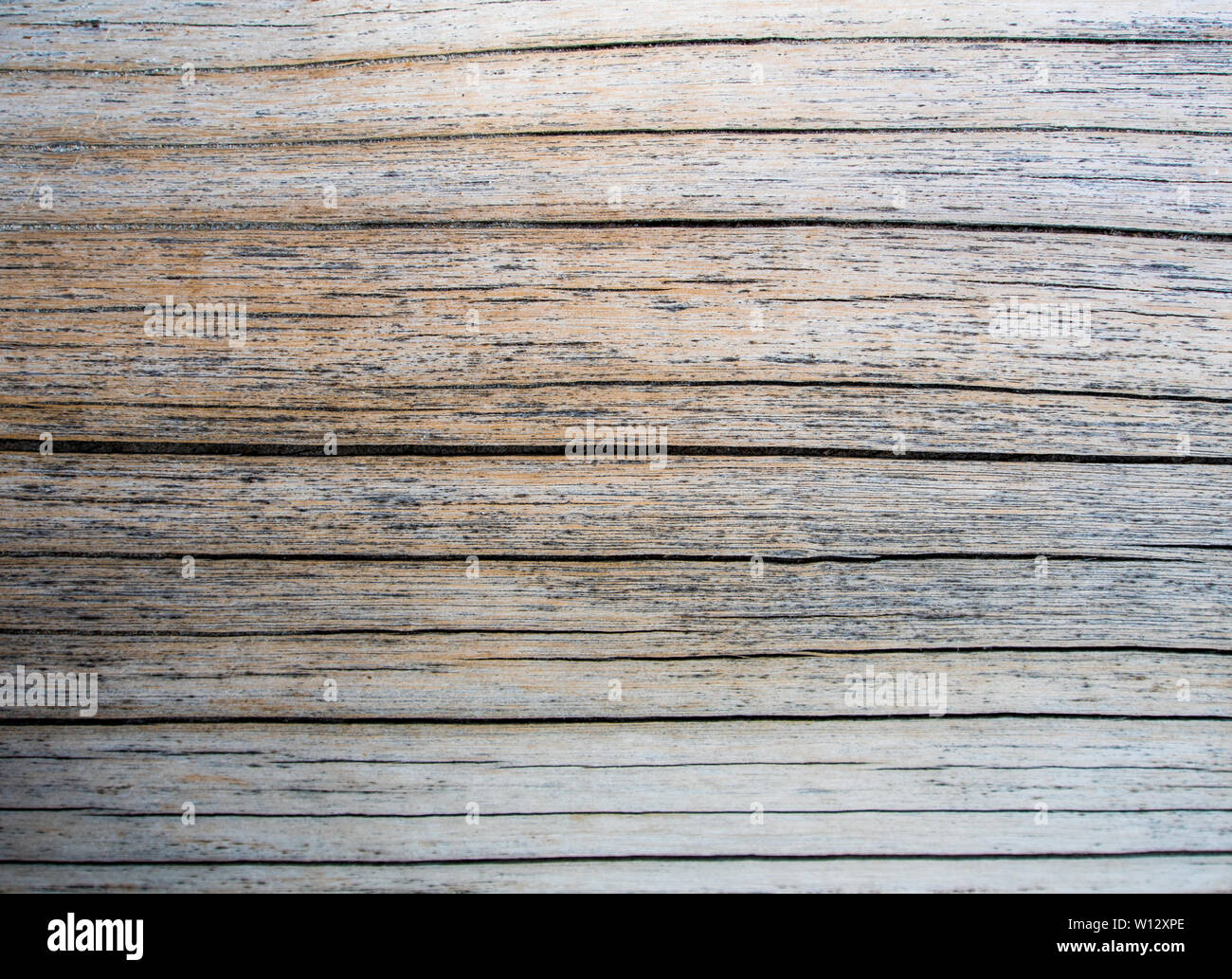 Detail of old stump surface , wood texture Stock Photo - Alamy