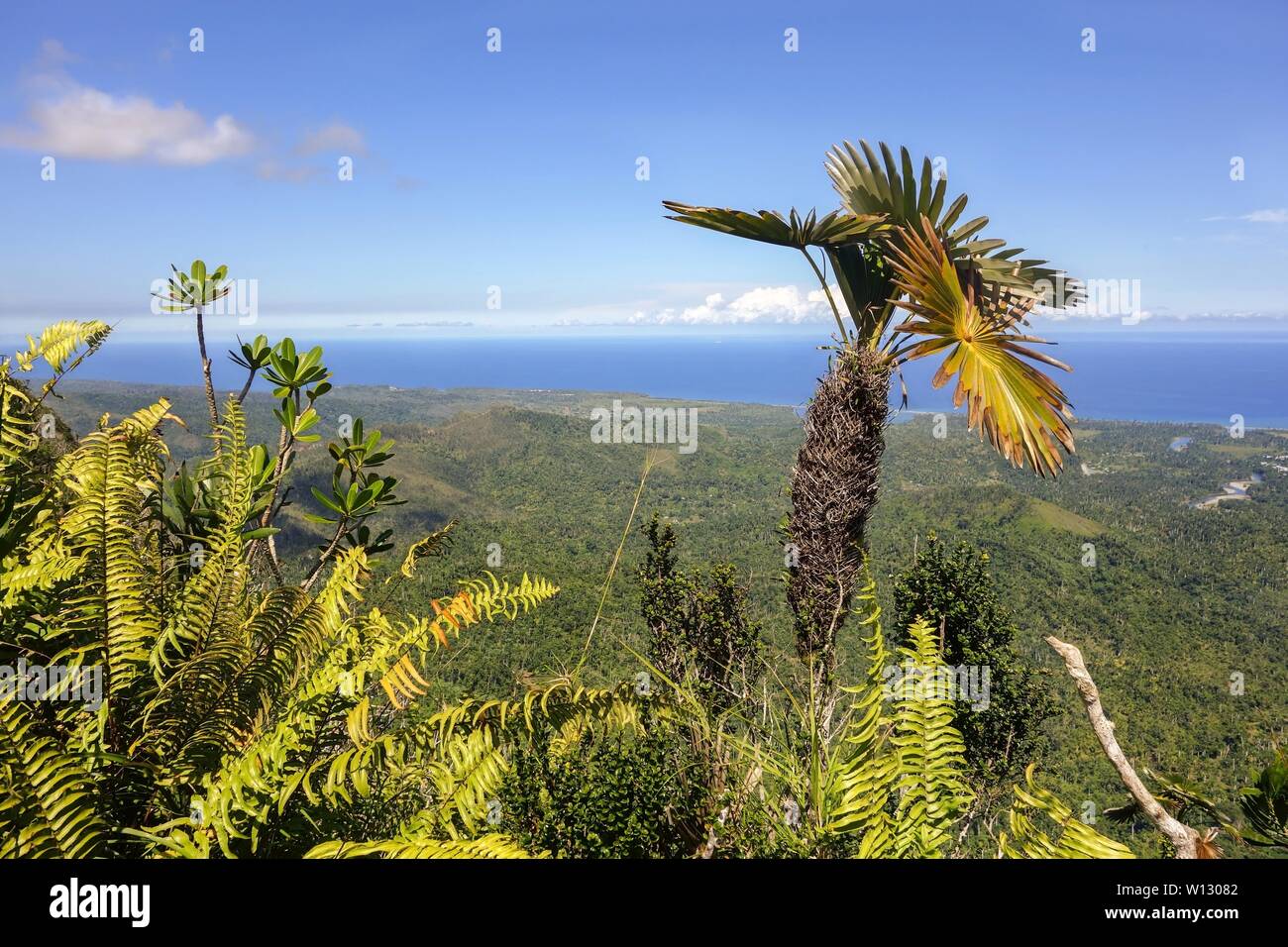 Tropical Vegetation and Distant Atlantic Ocean Coastline Horizon ...
