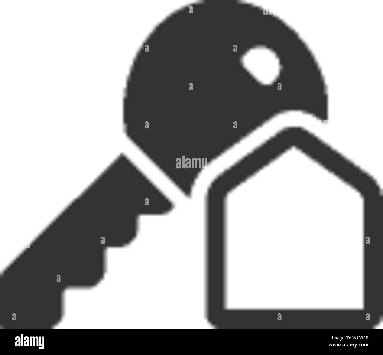 Key icon in single grey color. Safety protection house home property ...