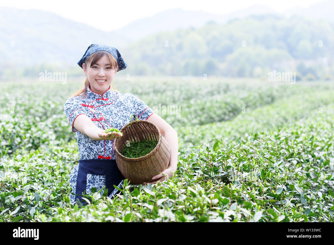 Asian pretty tea - amazing girl in photography Stock Photo - Alamy