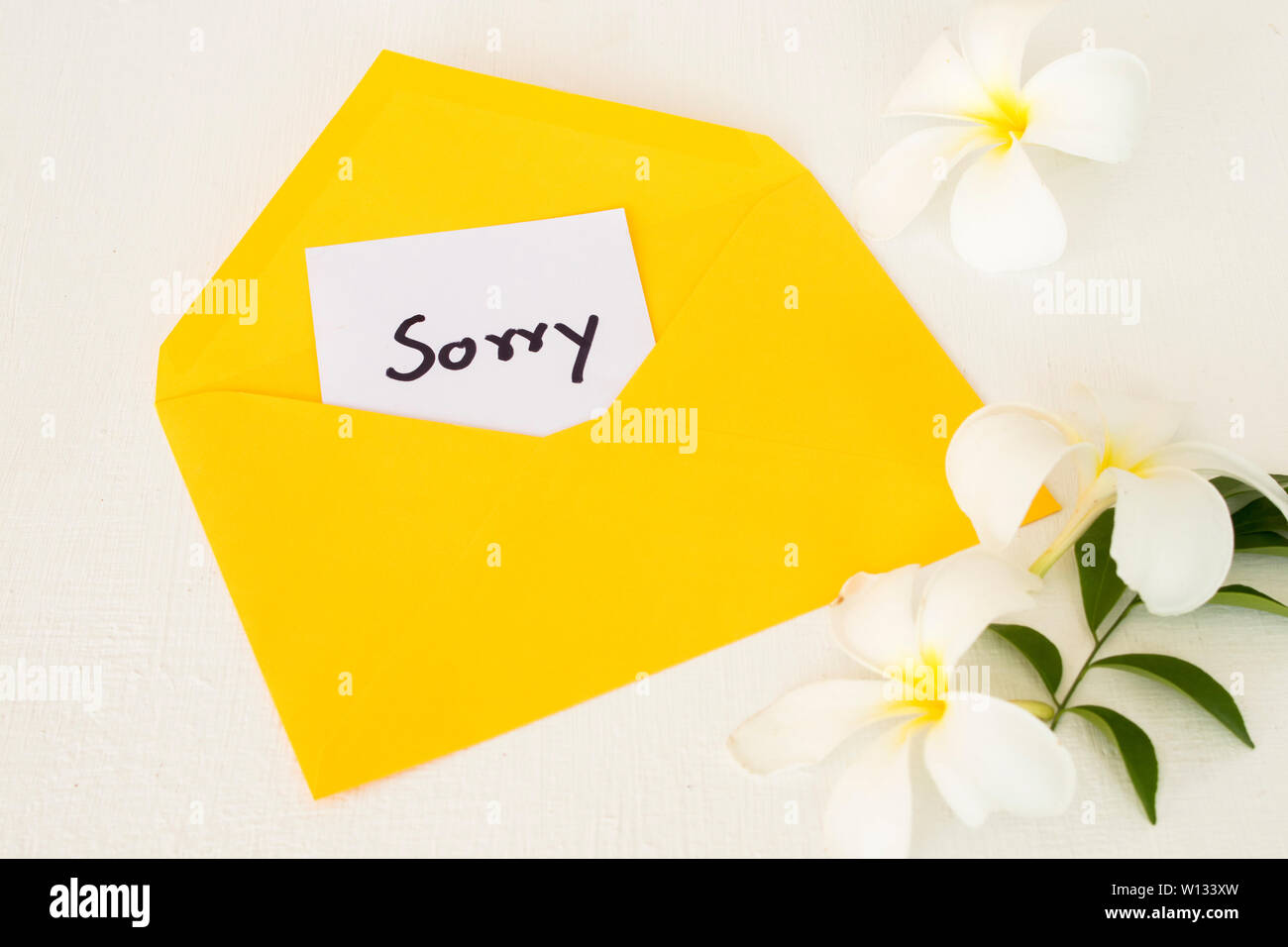 sorry message card in yellow envelope with white flowers fragnipani ...