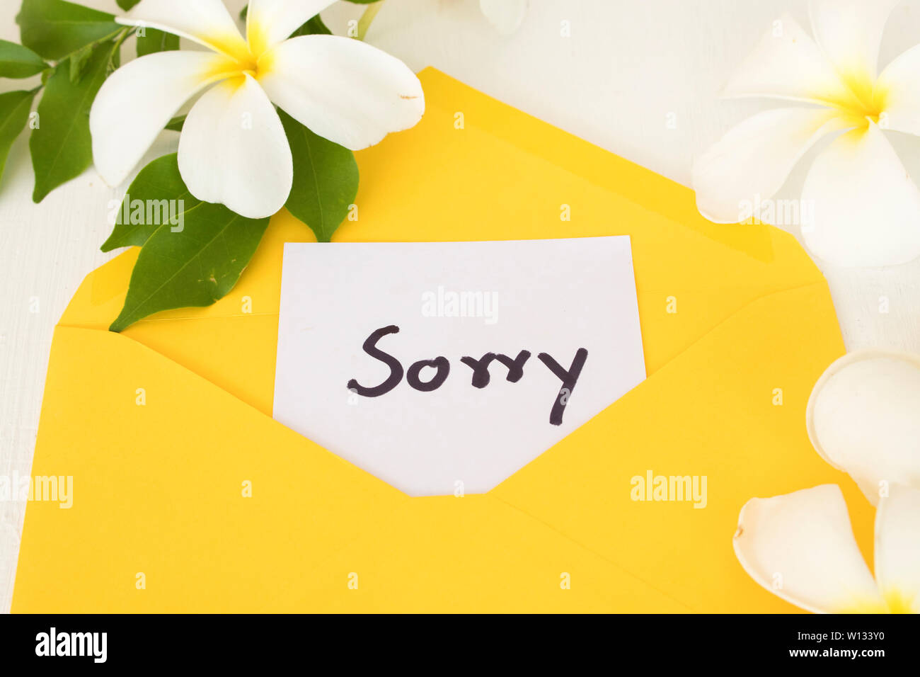 sorry message card in yellow envelope with white flowers fragnipani ...
