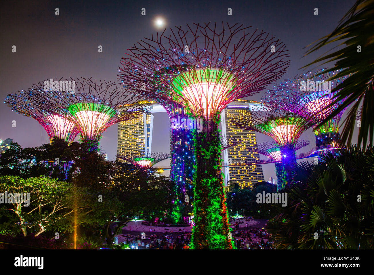 SINGAPORE, SINGAPORE - MARCH 2019: Supertrees illuminated for light ...