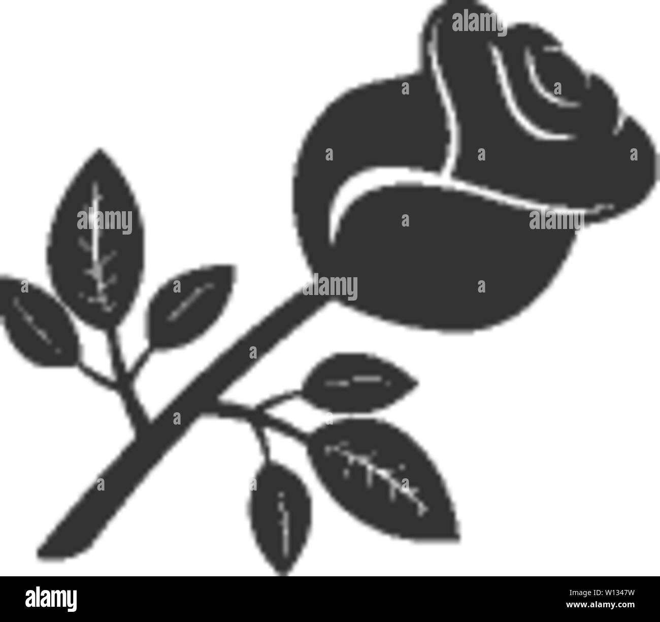 Single white rose leaves Black and White Stock Photos & Images - Alamy