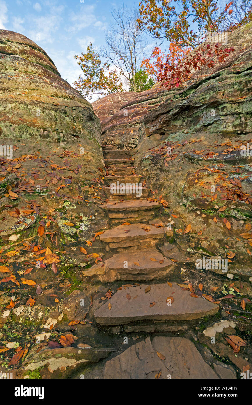 Man made steps hi-res stock photography and images - Alamy