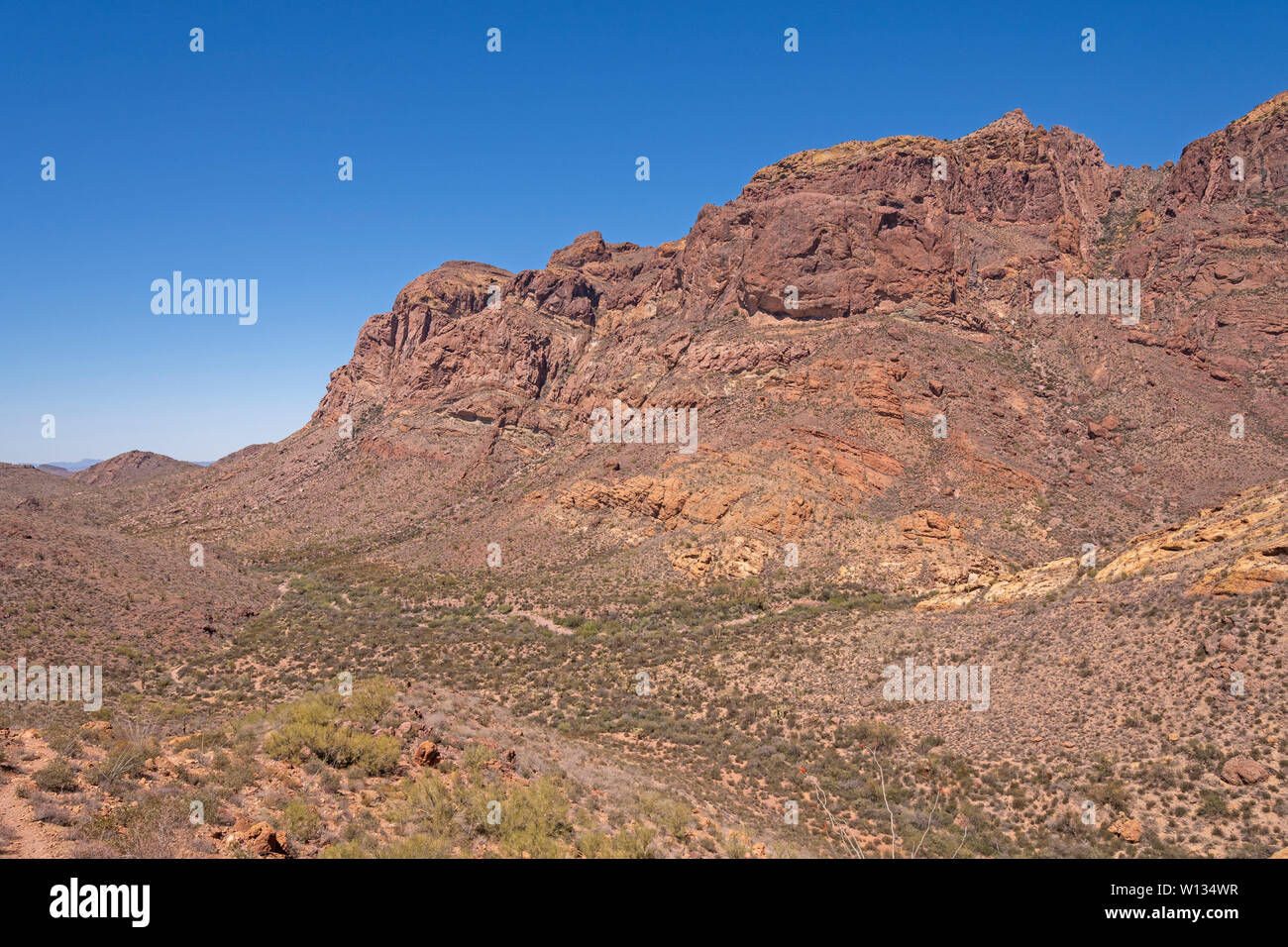 Sonoran desert scene mountains hi-res stock photography and images - Alamy