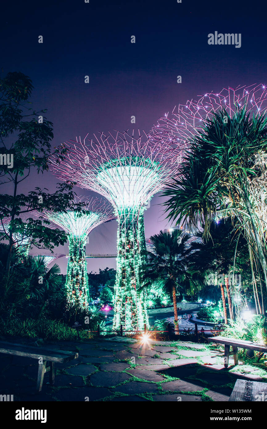 SINGAPORE, SINGAPORE - MARCH 2019: Supertrees illuminated for light ...