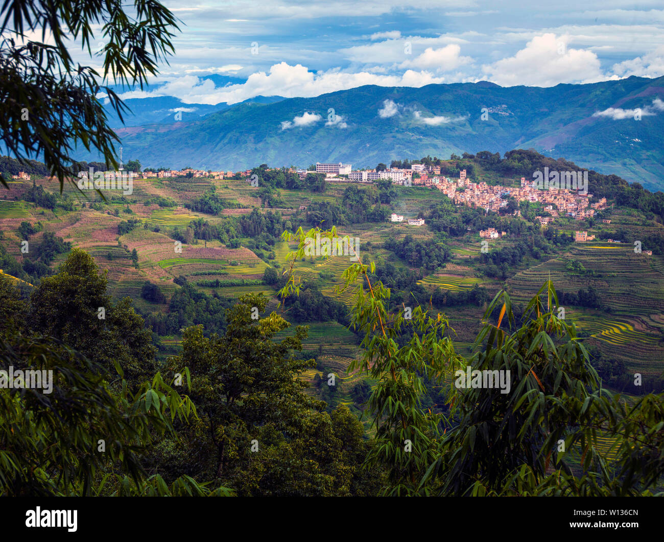 Ailao Mountain scenery Stock Photo - Alamy