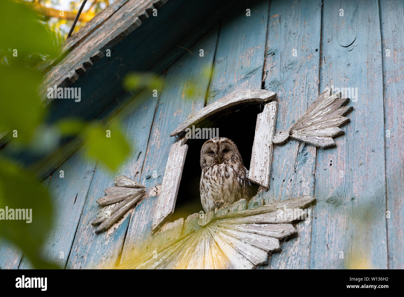 Mystery exterior house light on hi-res stock photography and images - Alamy