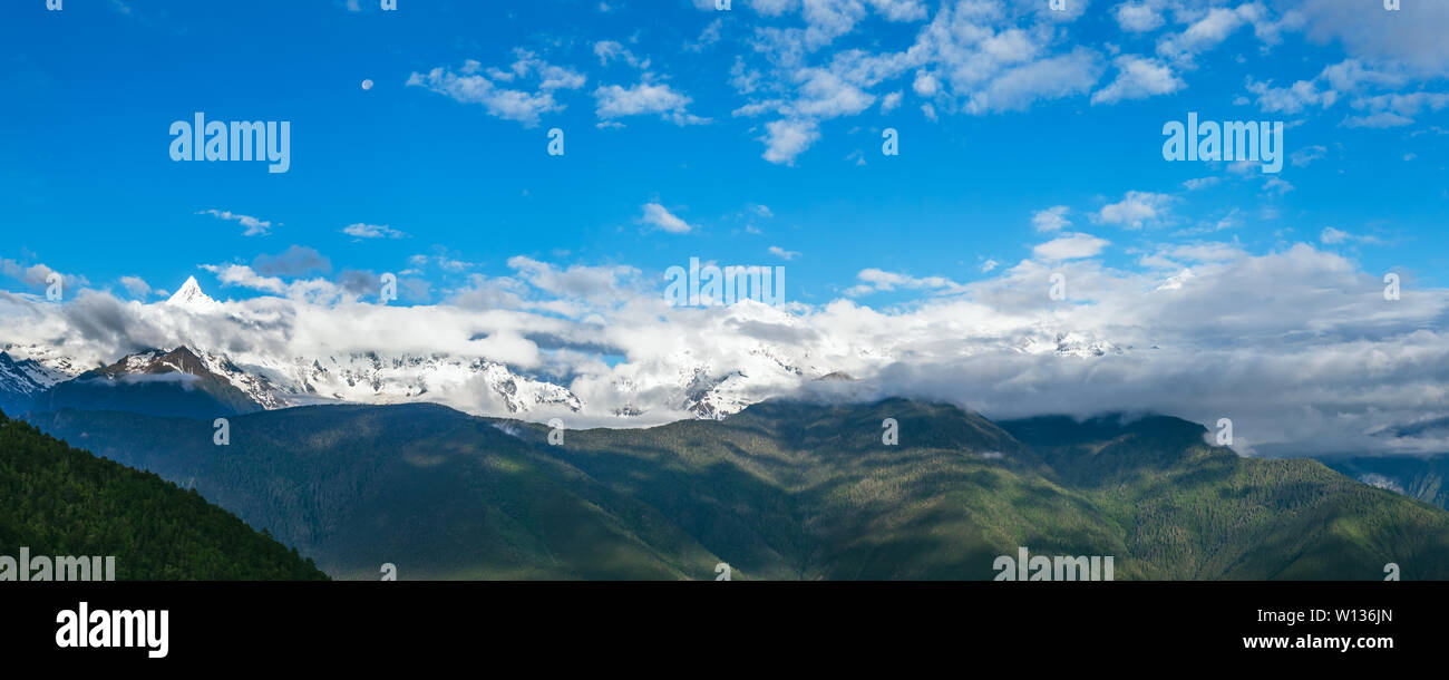 tai mei yunnan Stock Photo - Alamy