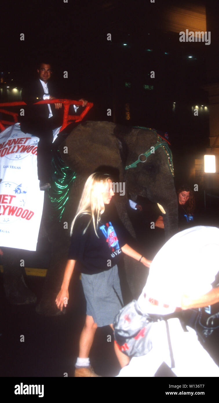 Las Vegas, Nevada, USA 24th July 1994 Actor Steven Seagal arrives on ...