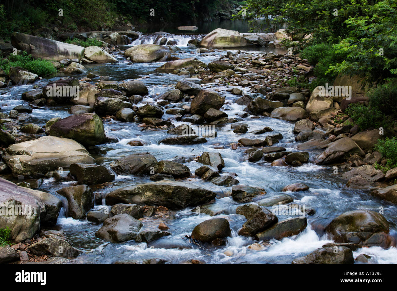 Angie wood hi-res stock photography and images - Alamy