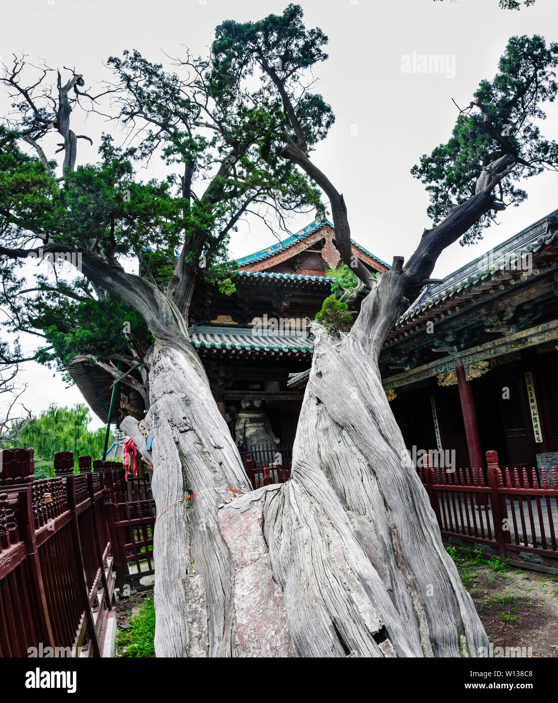 Jinyuan district hi-res stock photography and images - Alamy