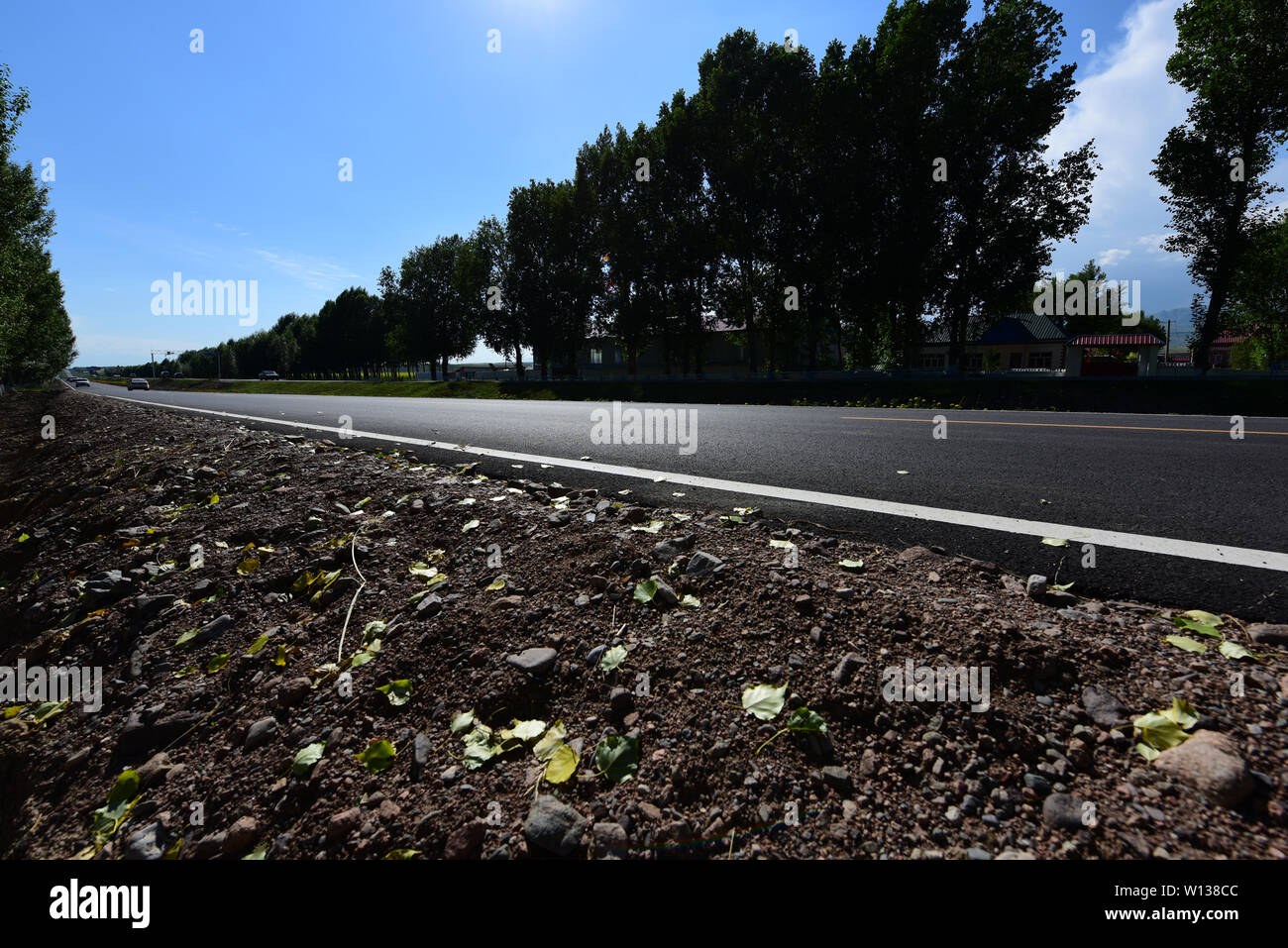 No one walks the road with asphalt landscape with nature and soil ...