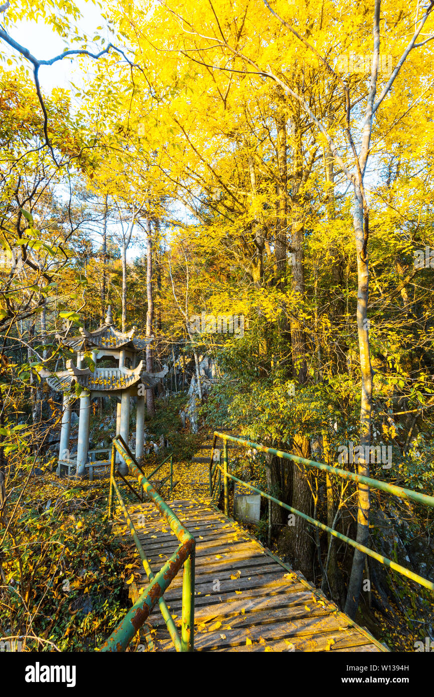 Pathway in the downhill Stock Photo - Alamy