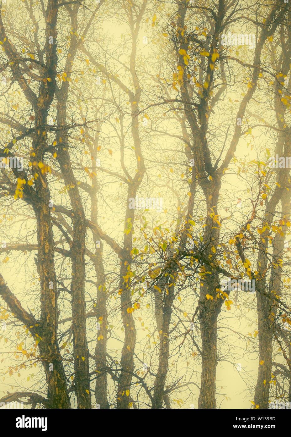 Scenic vertical composition Stock Photo - Alamy