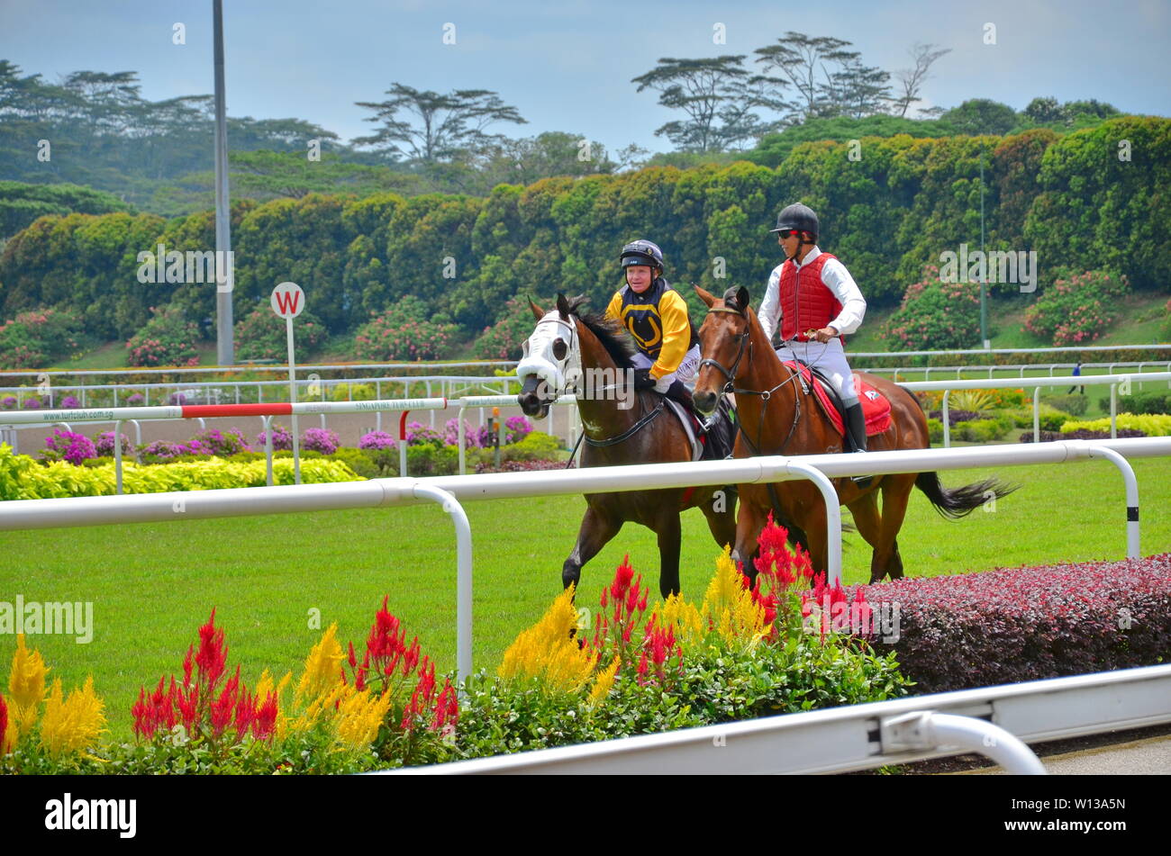 Singapore Horse Racing Association Stock Photo - Alamy