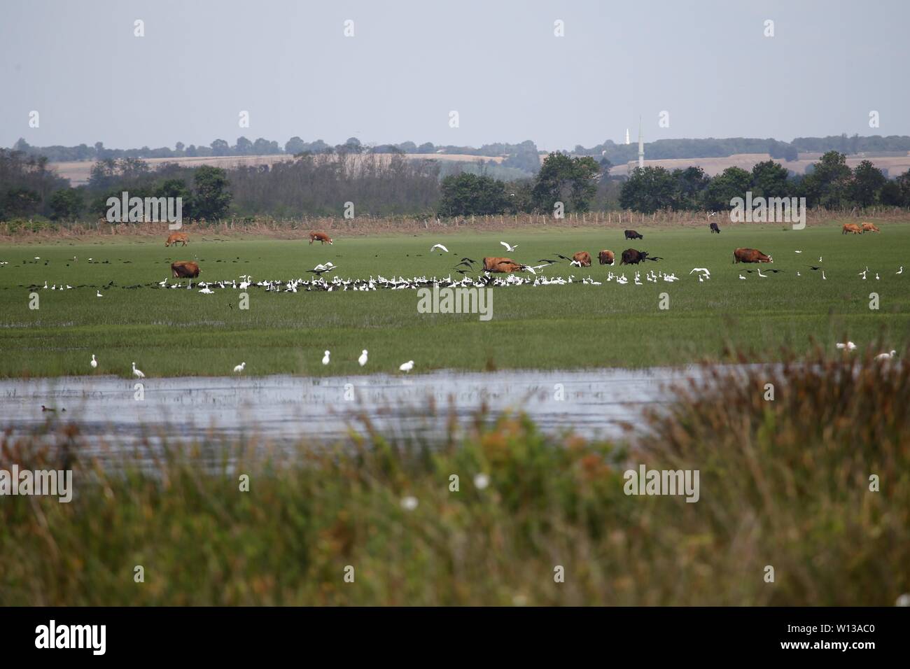 Kizilirmak river hi-res stock photography and images - Alamy