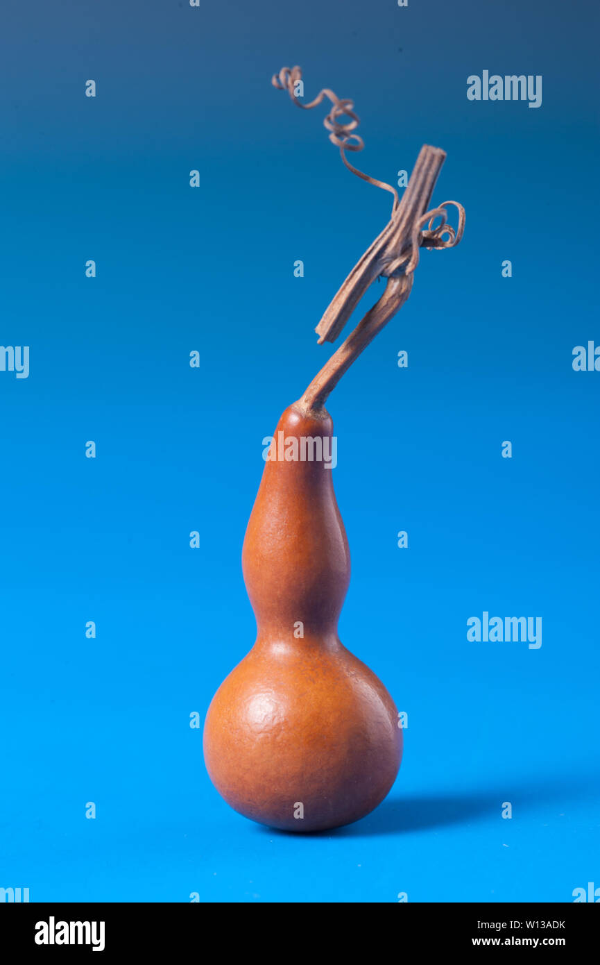 Hand twist gourd hi-res stock photography and images - Alamy
