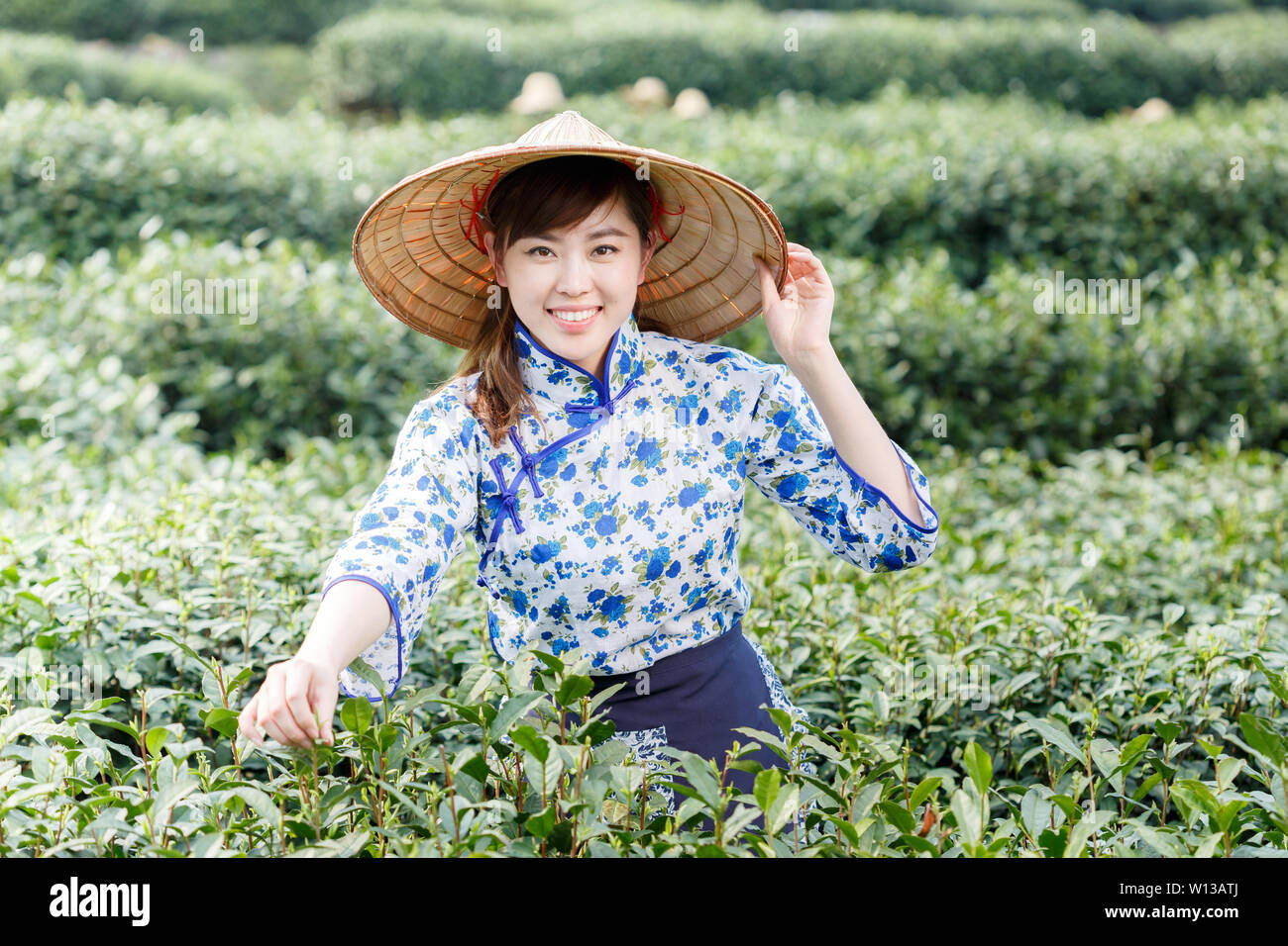 Asian pretty tea - amazing girl in photography Stock Photo - Alamy