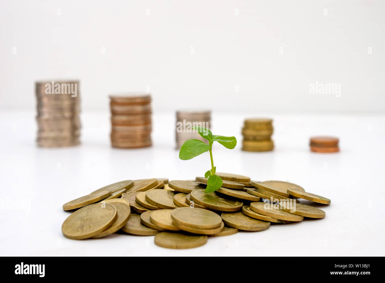 Sprout on pile of money hi-res stock photography and images - Alamy