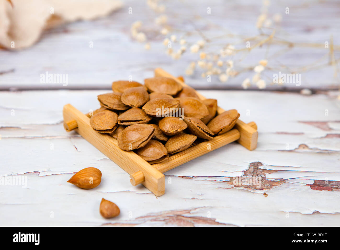 Open small ginkgo biloba hi-res stock photography and images - Alamy