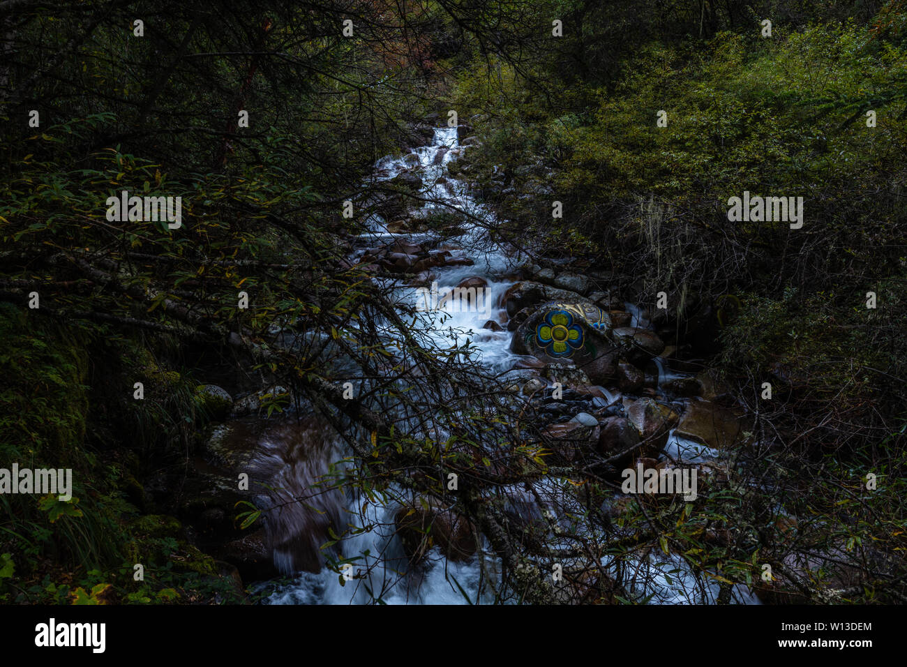 Black ditch stream hi-res stock photography and images - Alamy