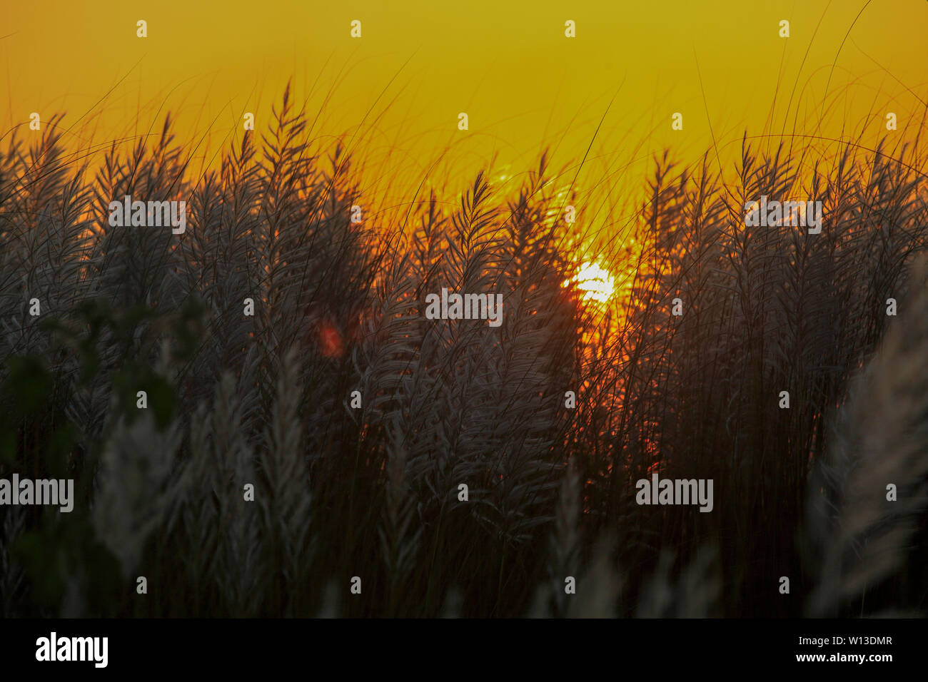 Kash hi-res stock photography and images - Alamy