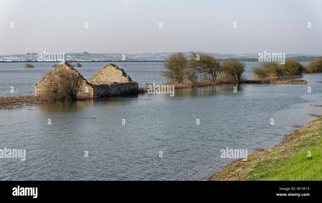 Spring Tide Flooded Grazing Marsh at Horsey Island, Braunton Marsh ...