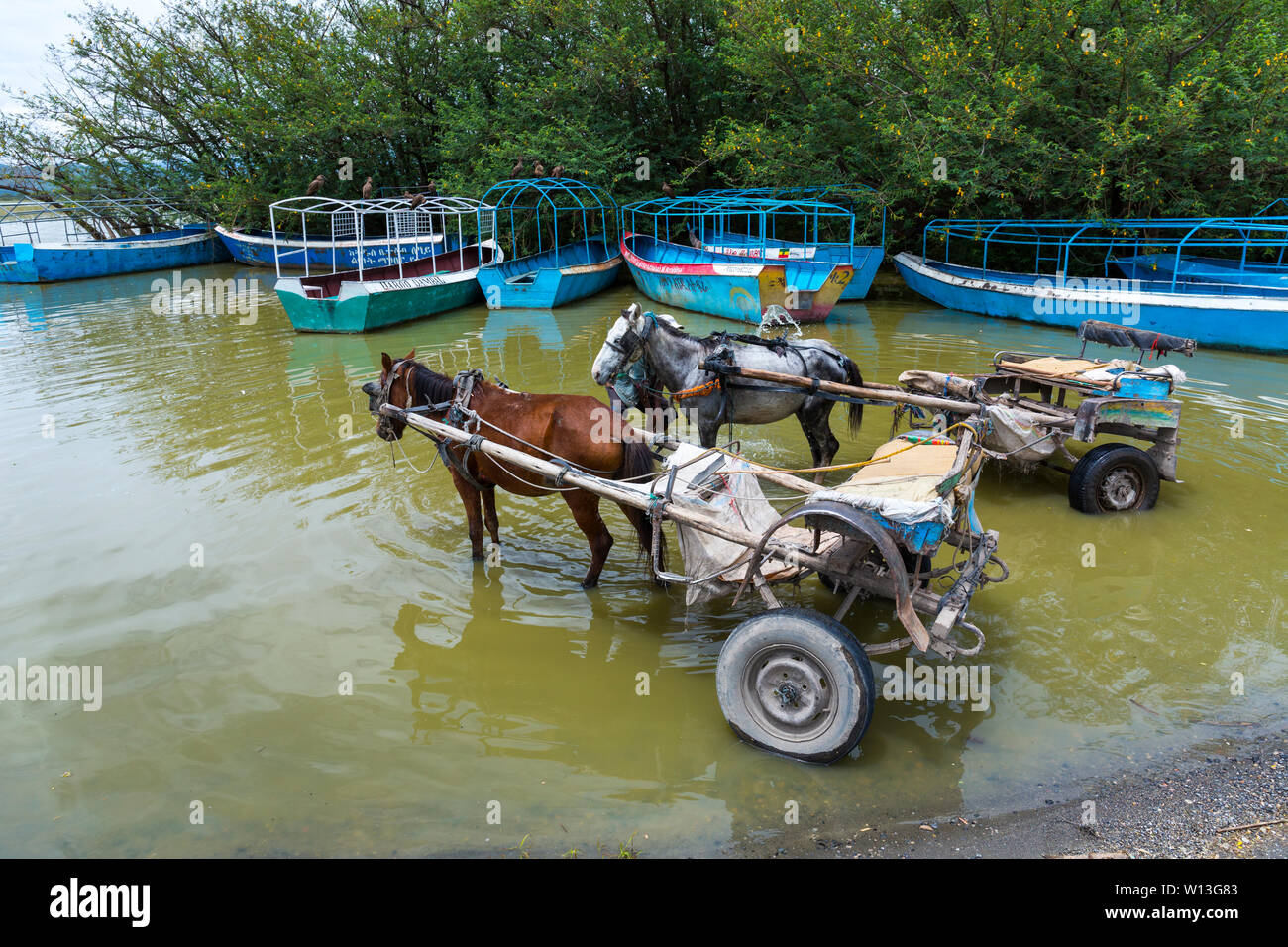 Ziway lake hi-res stock photography and images - Alamy