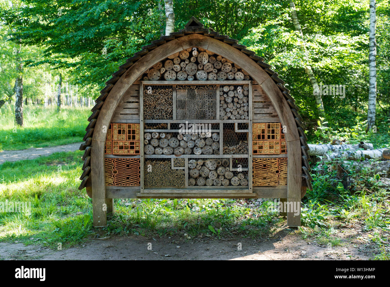 House for insect in the forest Stock Photo - Alamy