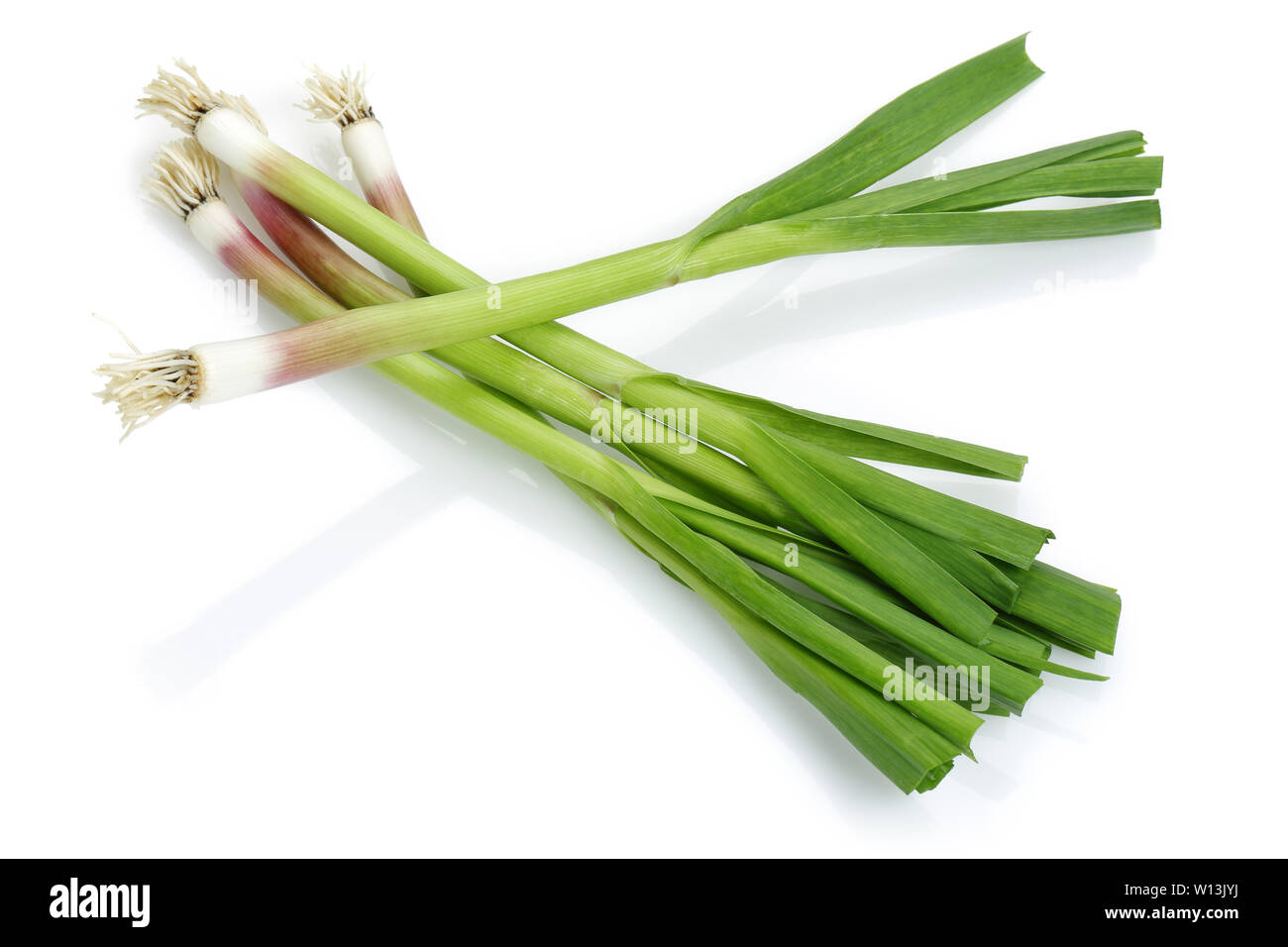 Fresh green garlic isolated on white background Stock Photo - Alamy