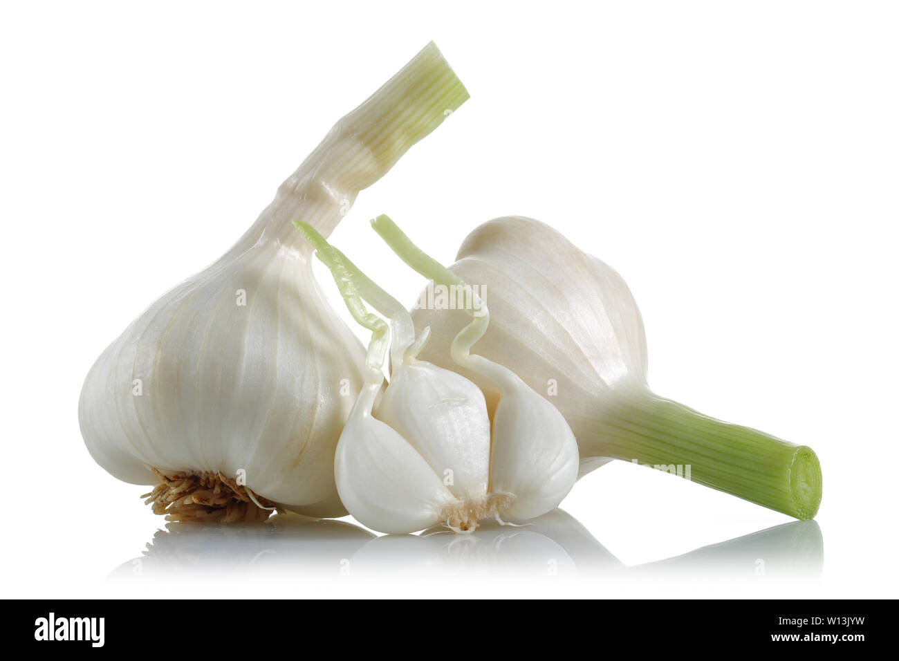 Fresh garlic bulb with garlic clove isolated on white background Stock ...