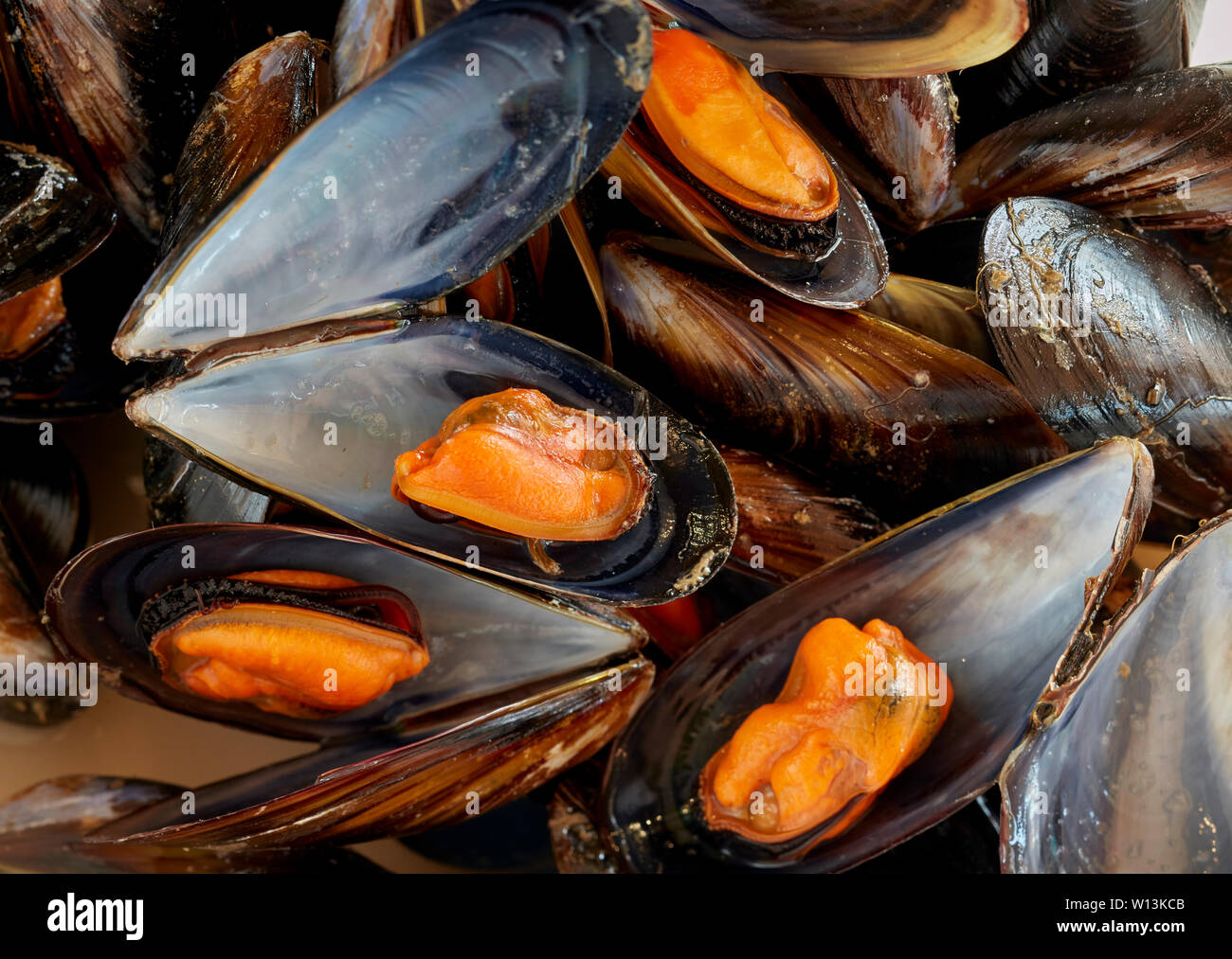 Healthy mussels hi-res stock photography and images - Alamy