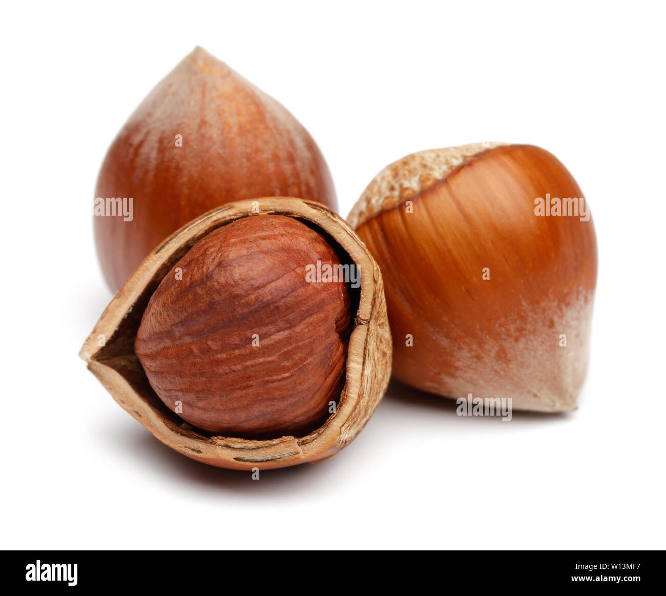Whole and broken hazelnut isolated on white background Stock Photo - Alamy