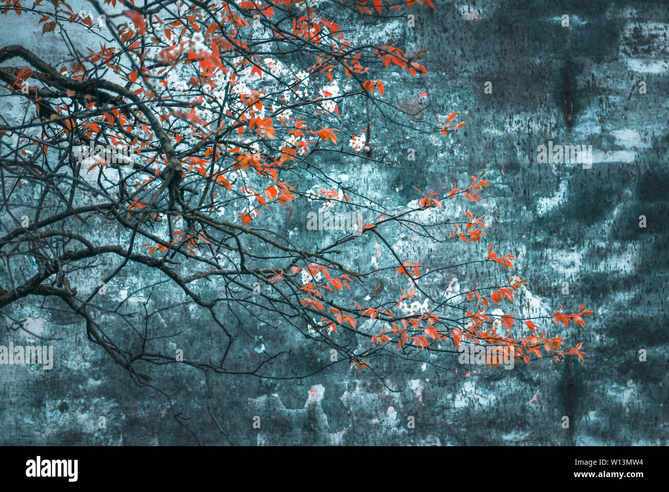 Damei scenery map Stock Photo - Alamy