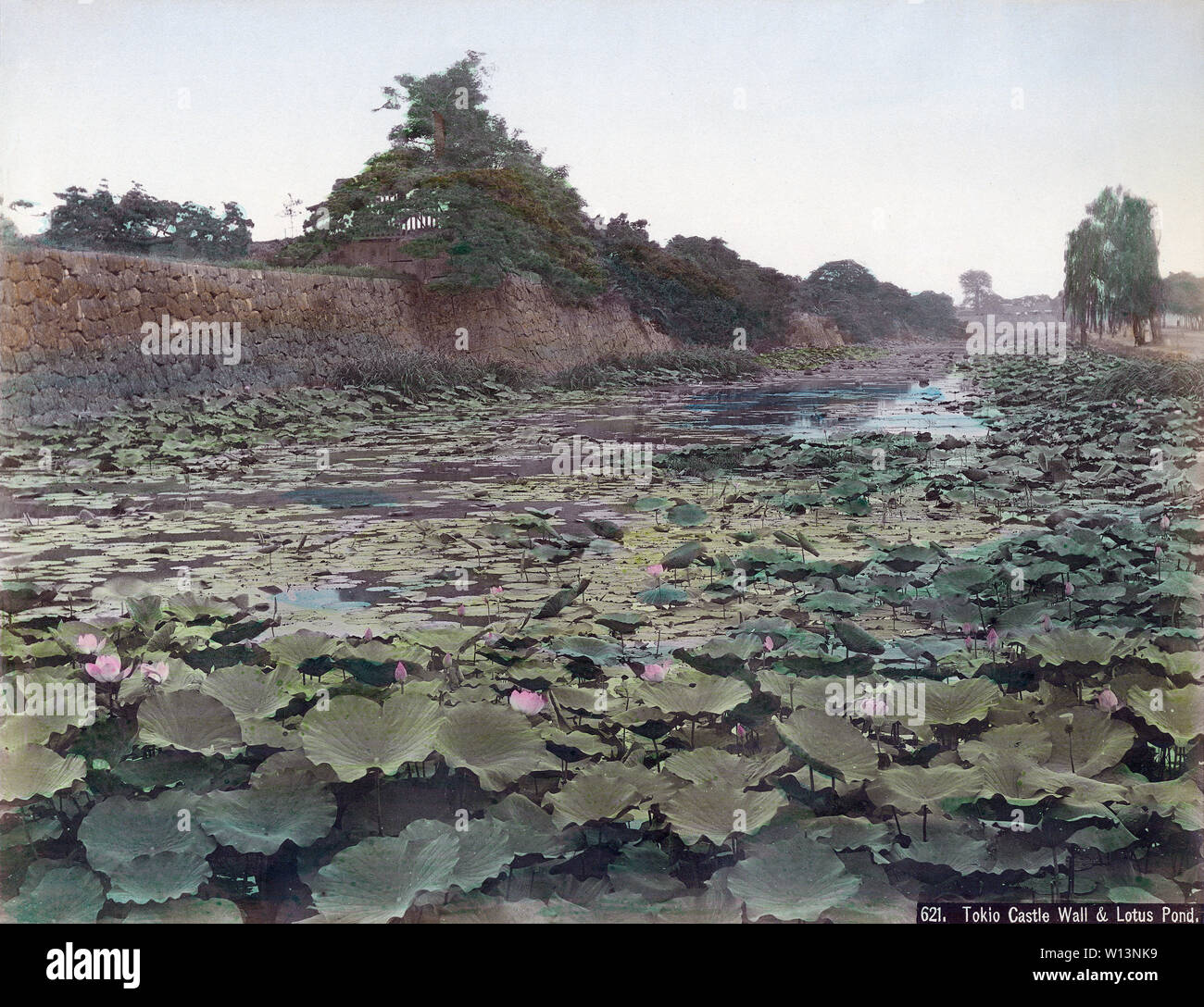 [ 1890s Japan - Imperial palace, Tokyo ] — Lotus pond at the Imperial ...