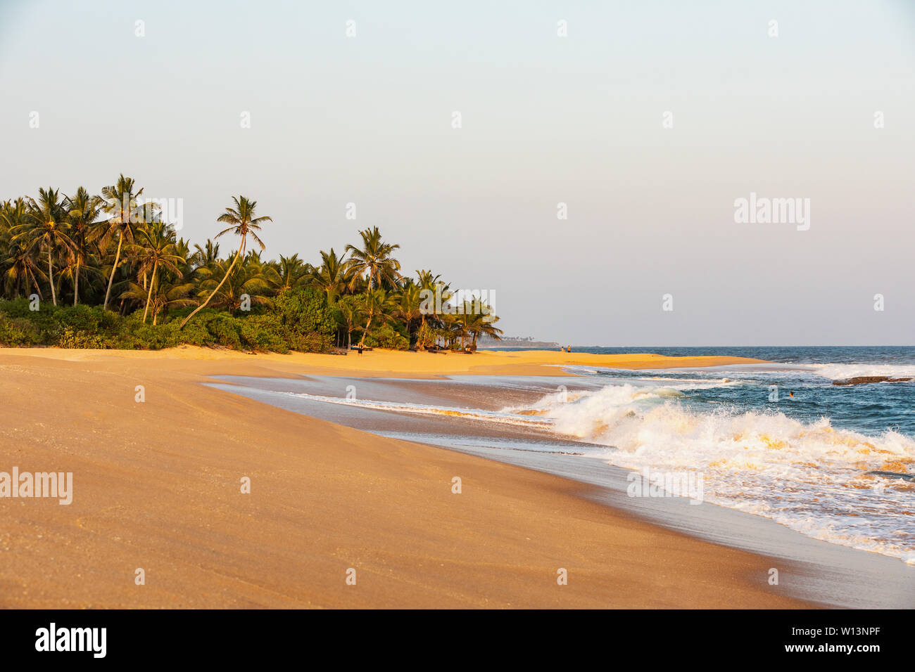 Coconut Tree Beach at sunset Stock Photo - Alamy