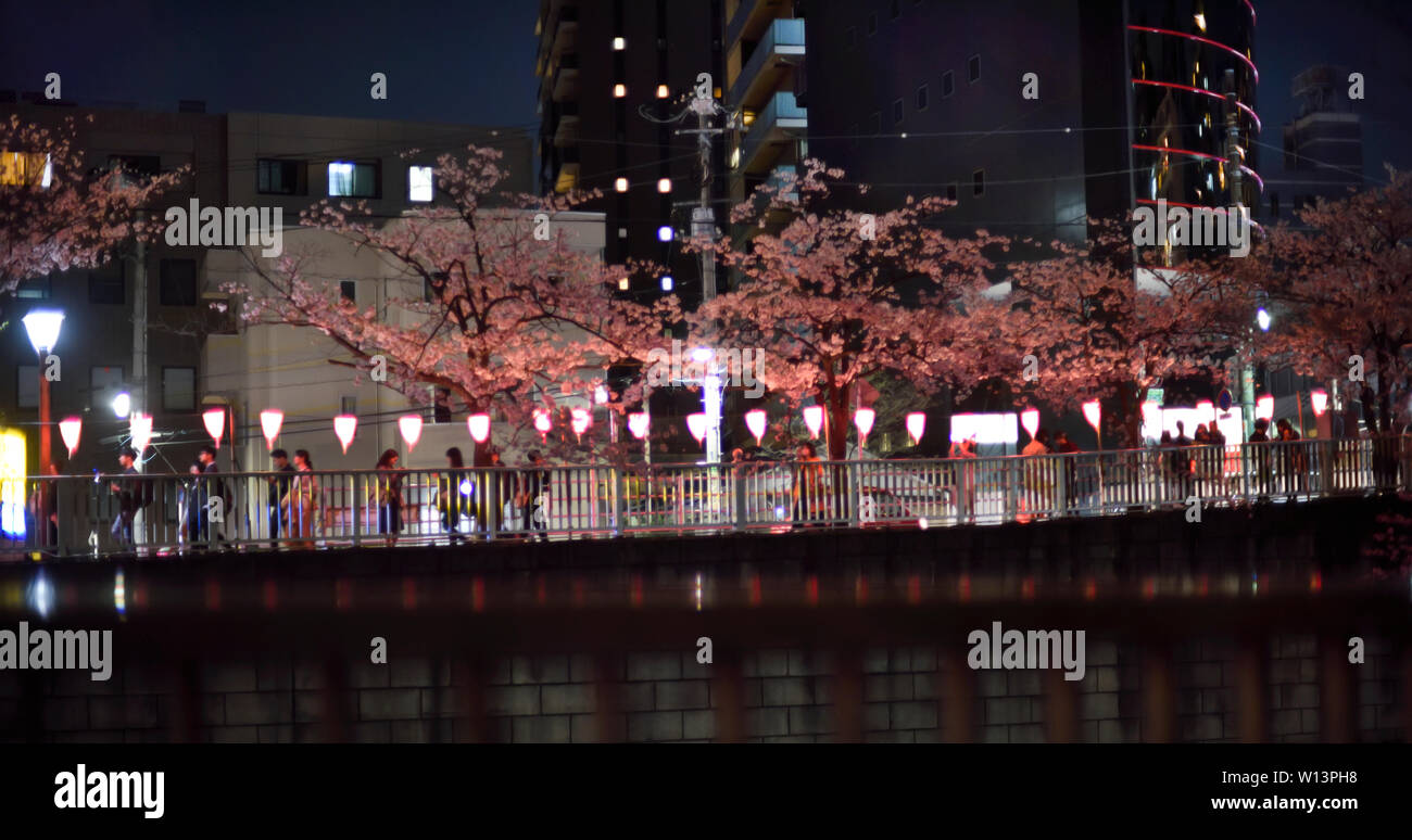 Cherry Blossom Meguro River Tokyo Japan Stock Photo Alamy