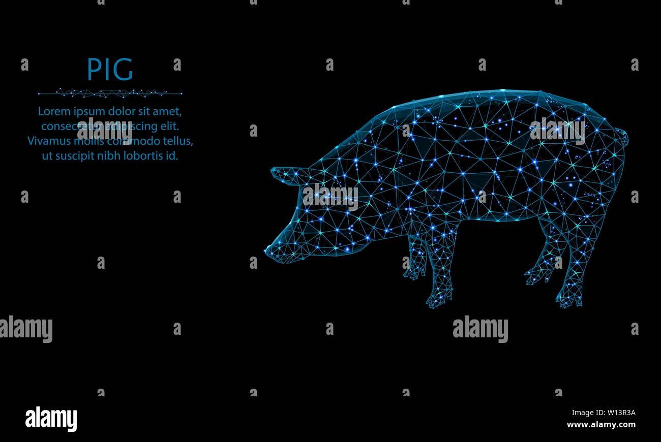 Pig low poly design, animal in polygonal style, symbol of year 2019 ...