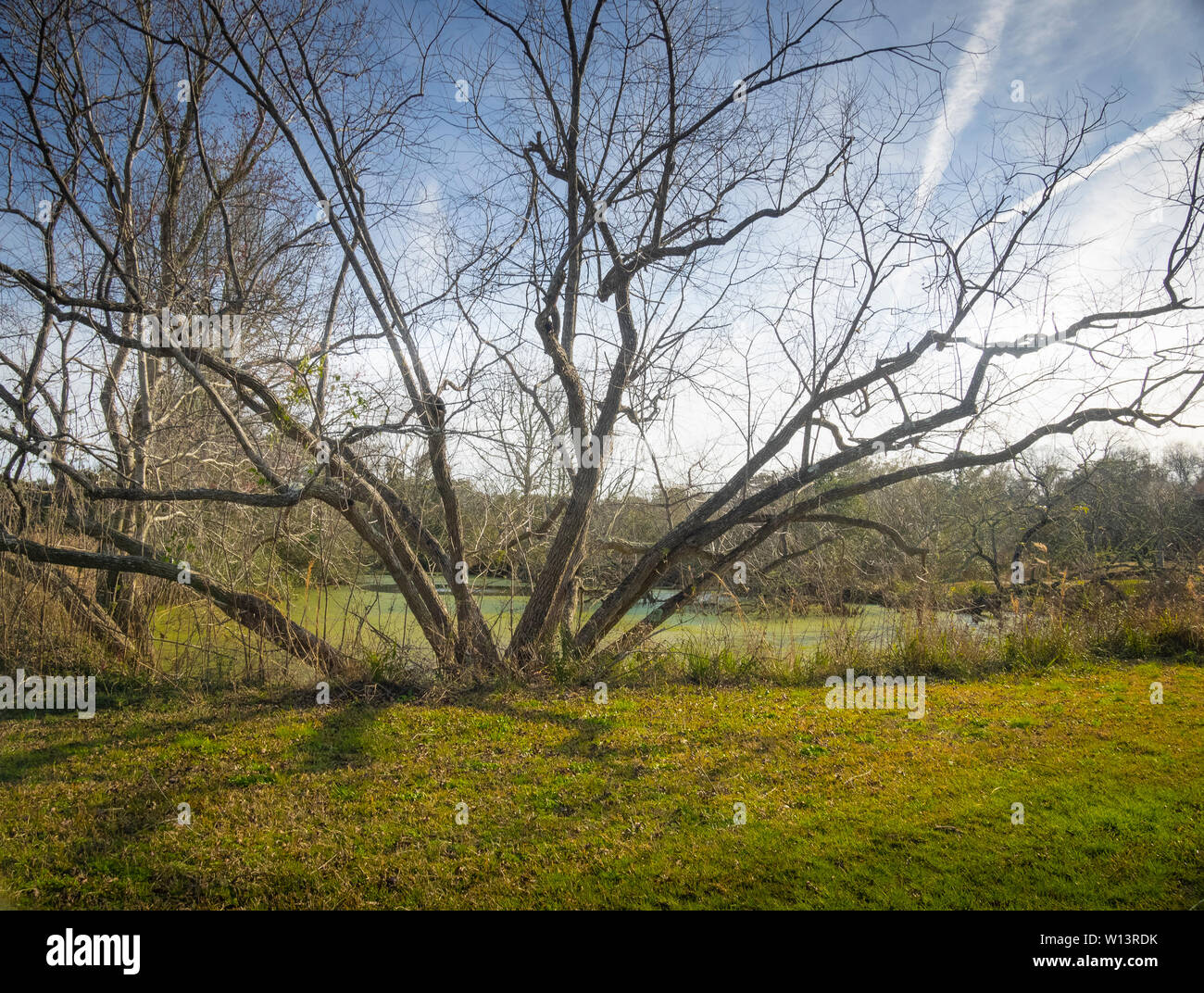 beautiful southern natural landscape Stock Photo - Alamy