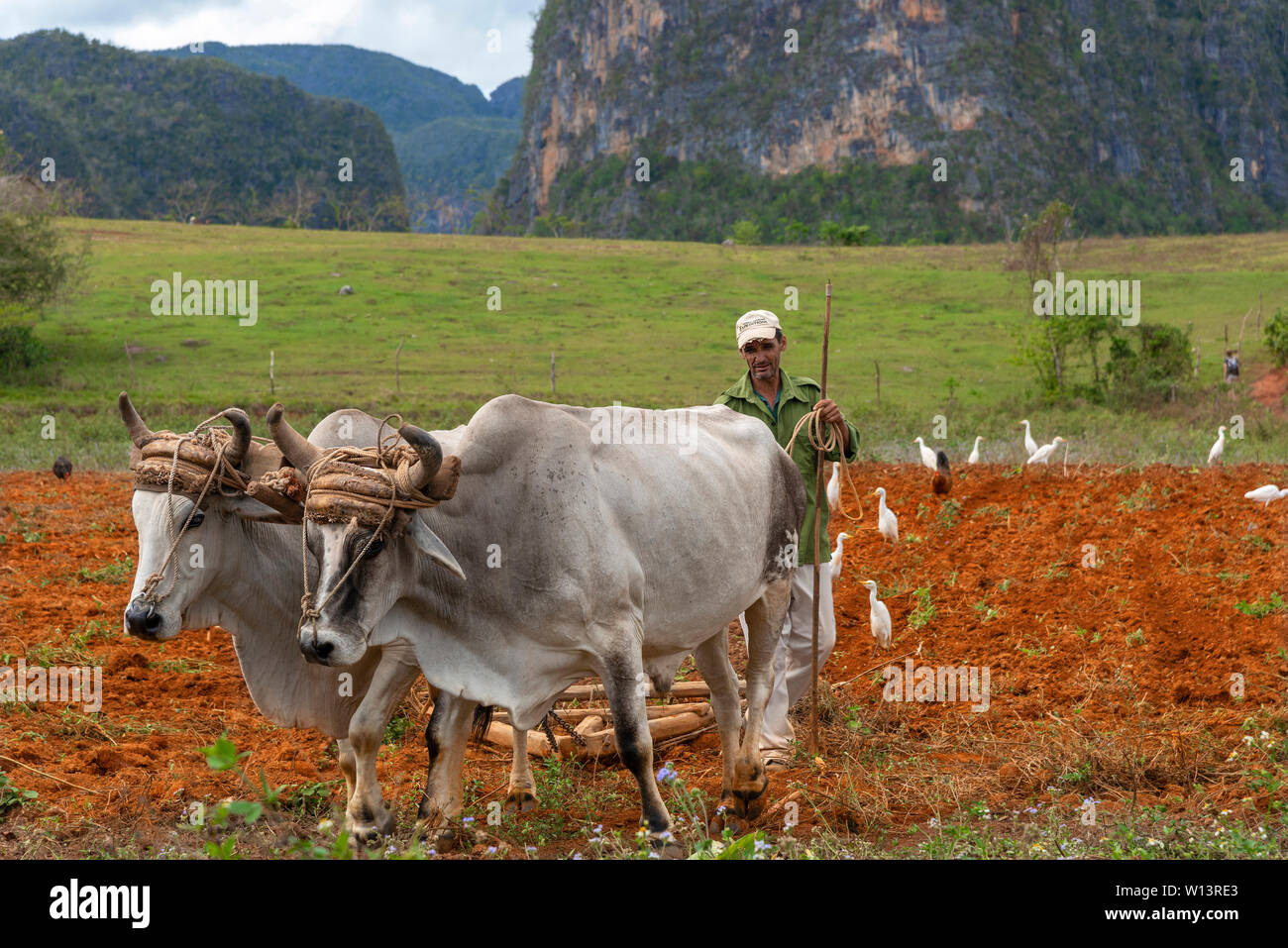 Traditional wooden plough hi-res stock photography and images - Alamy