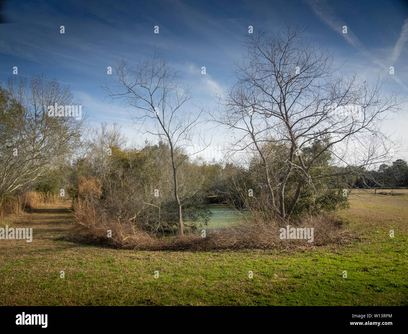 beautiful southern natural landscape Stock Photo - Alamy