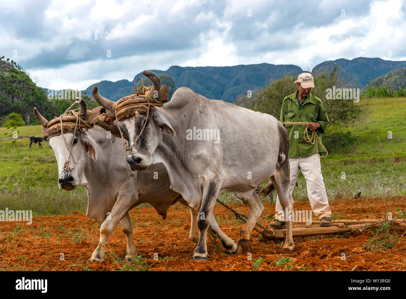 Traditional wooden plough hi-res stock photography and images - Alamy