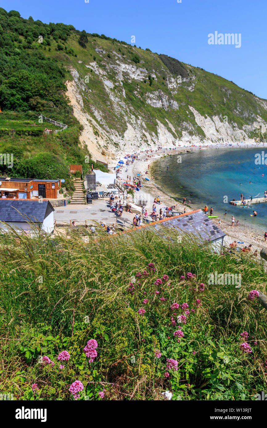 lulworth cove, dorset, england, uk Stock Photo - Alamy
